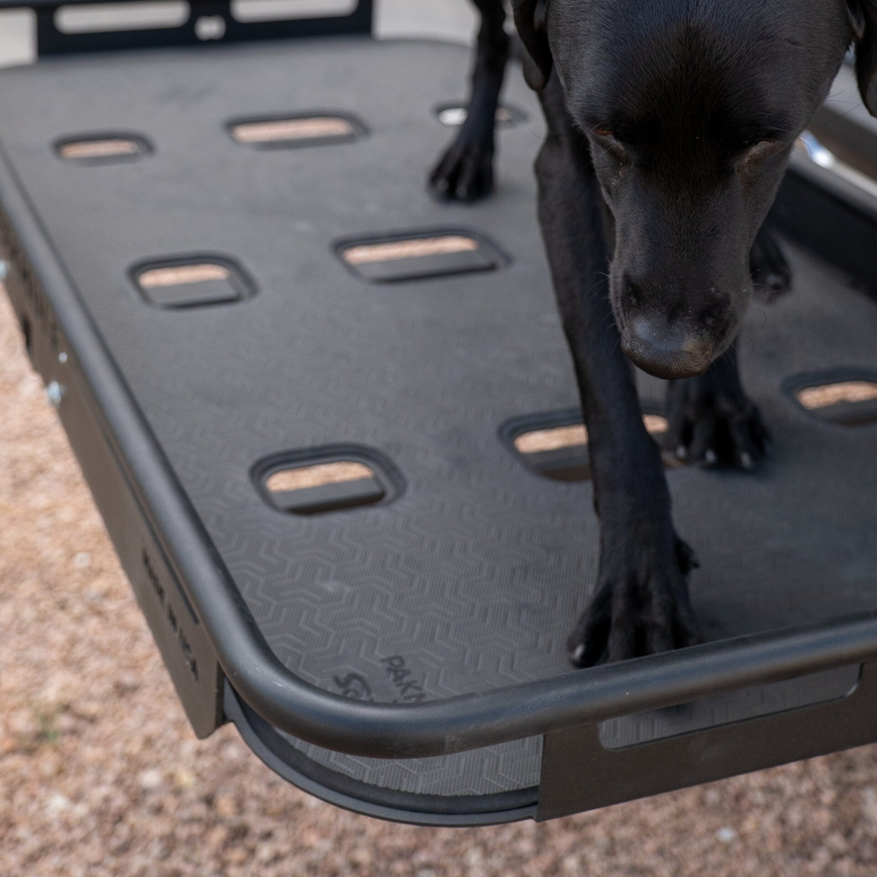 SCOUT Traction Pad – PAKMULE